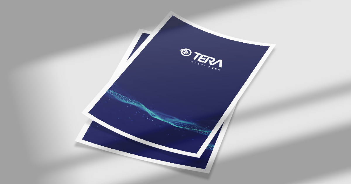 TERA Executive Summary 2024 - Tera